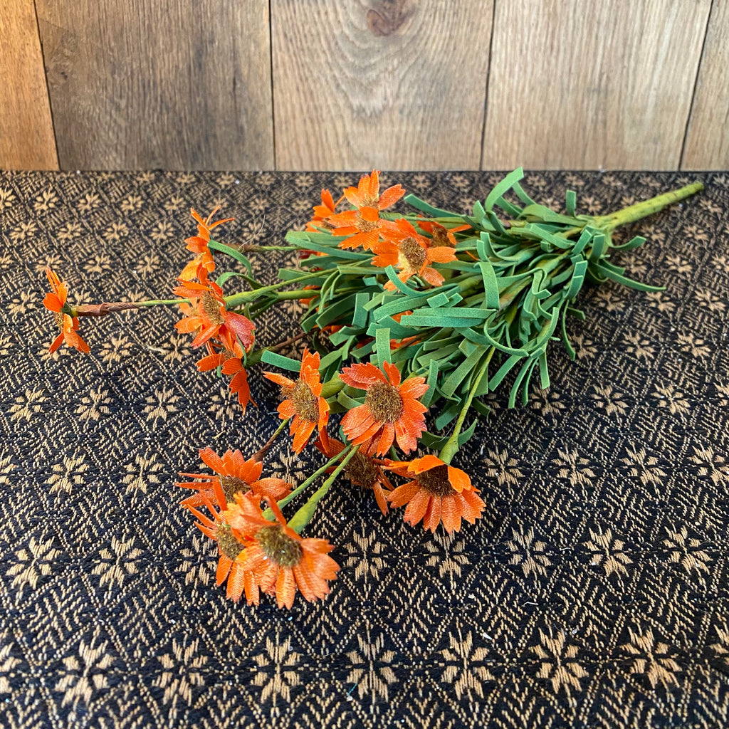 Burnt Orange Daisy Bush – The Lonely Tree Primitives